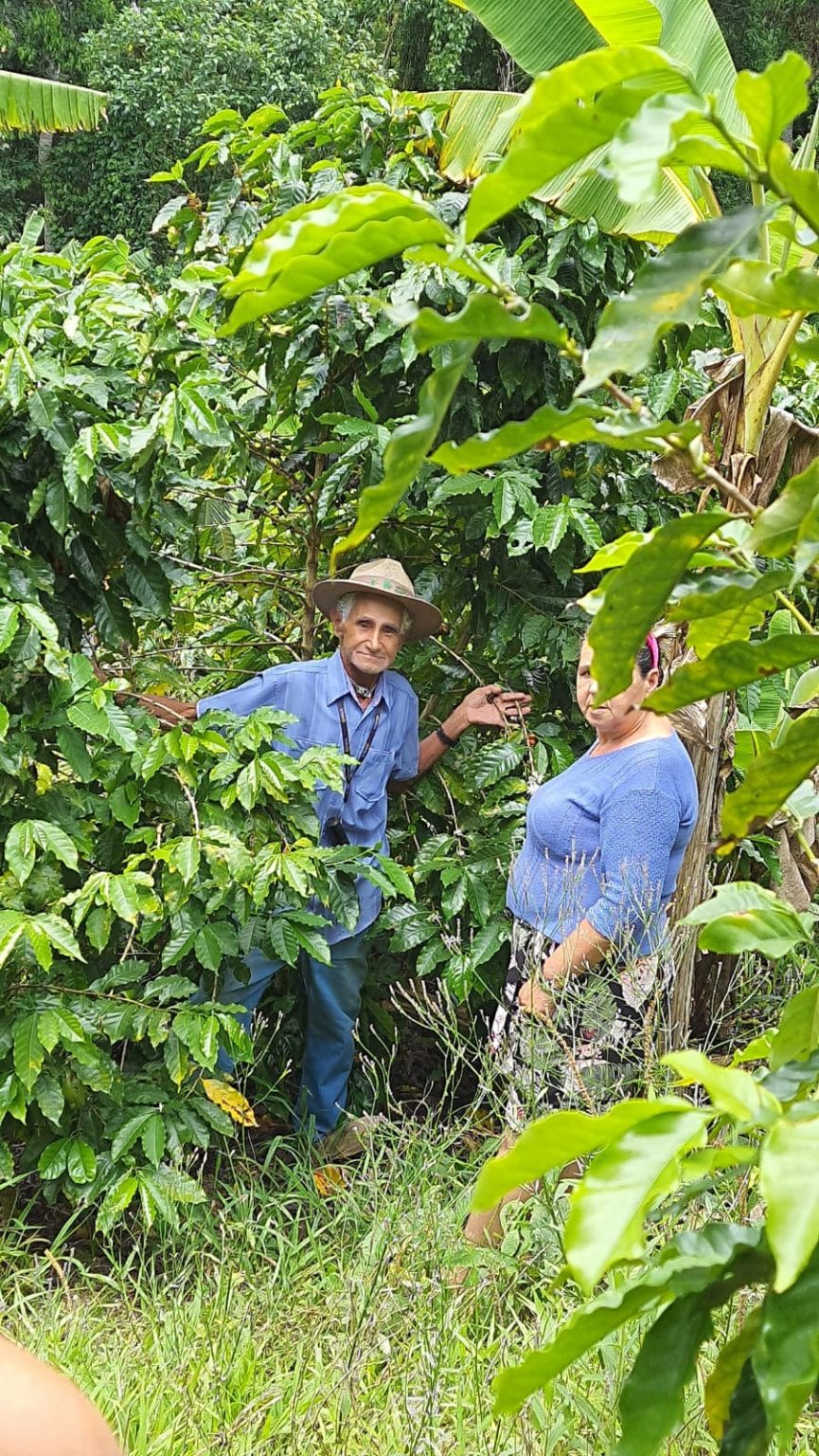 O melhor café do Estado está em Barra do Turvo e seus sabores contam ...